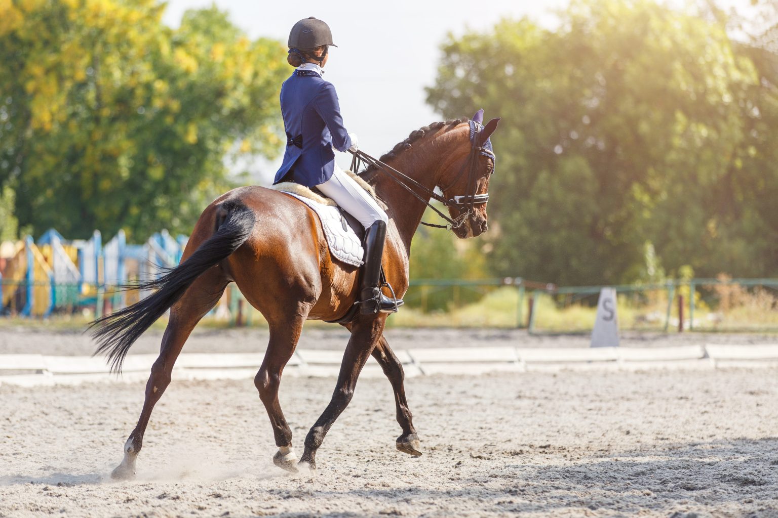 Understanding Dressage: A Rider's Guide | Horse Riding Now